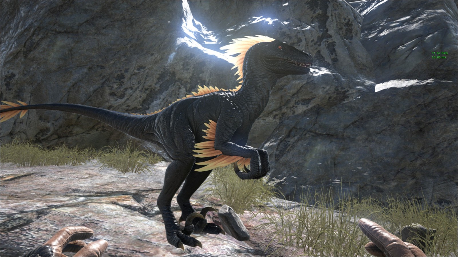 Image Ark Raptor Screenshot 004 Ark Survival Evolved Wiki