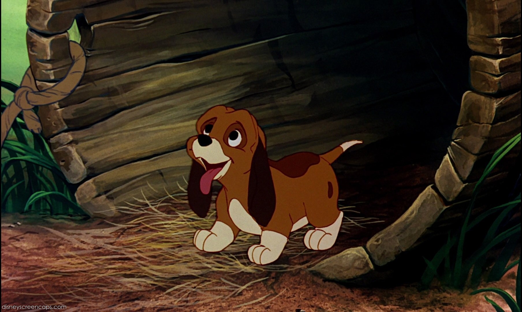 Copper Fictional Characters Wiki Fandom Powered By Wikia