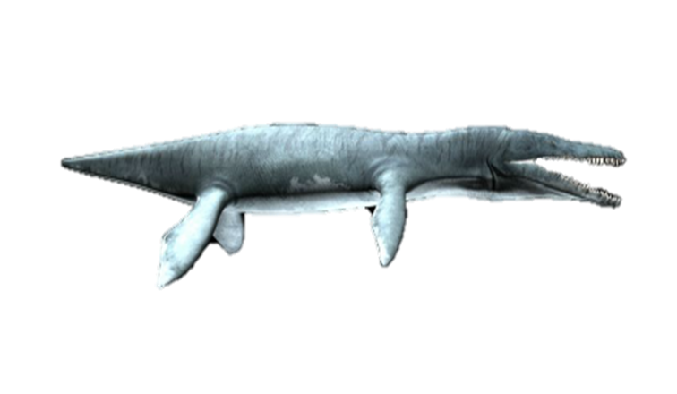 Kronosaurus Dinopedia Fandom Powered By Wikia
