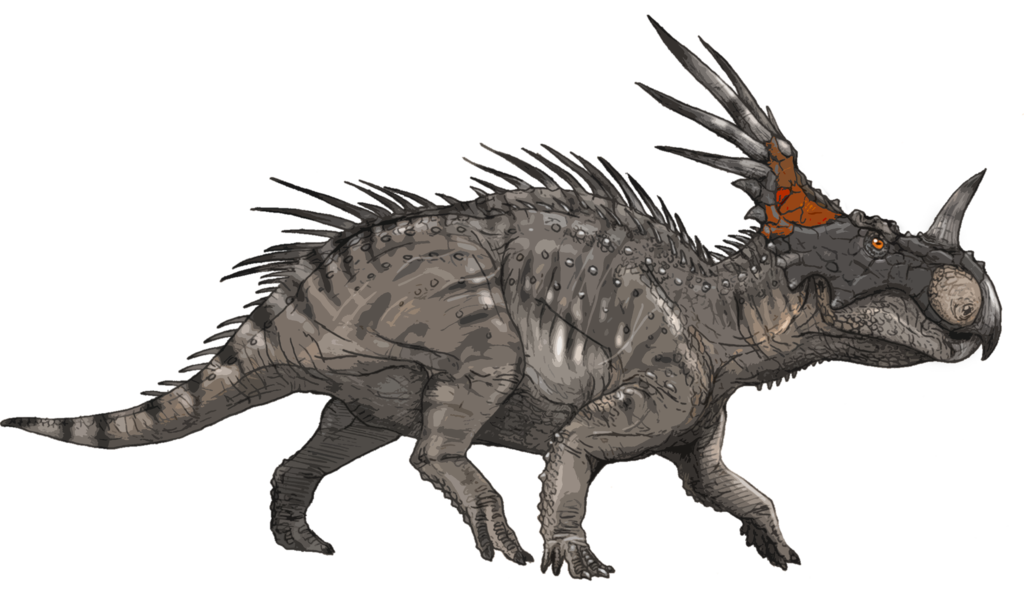 Styracosaurus Dinopedia Fandom Powered By Wikia