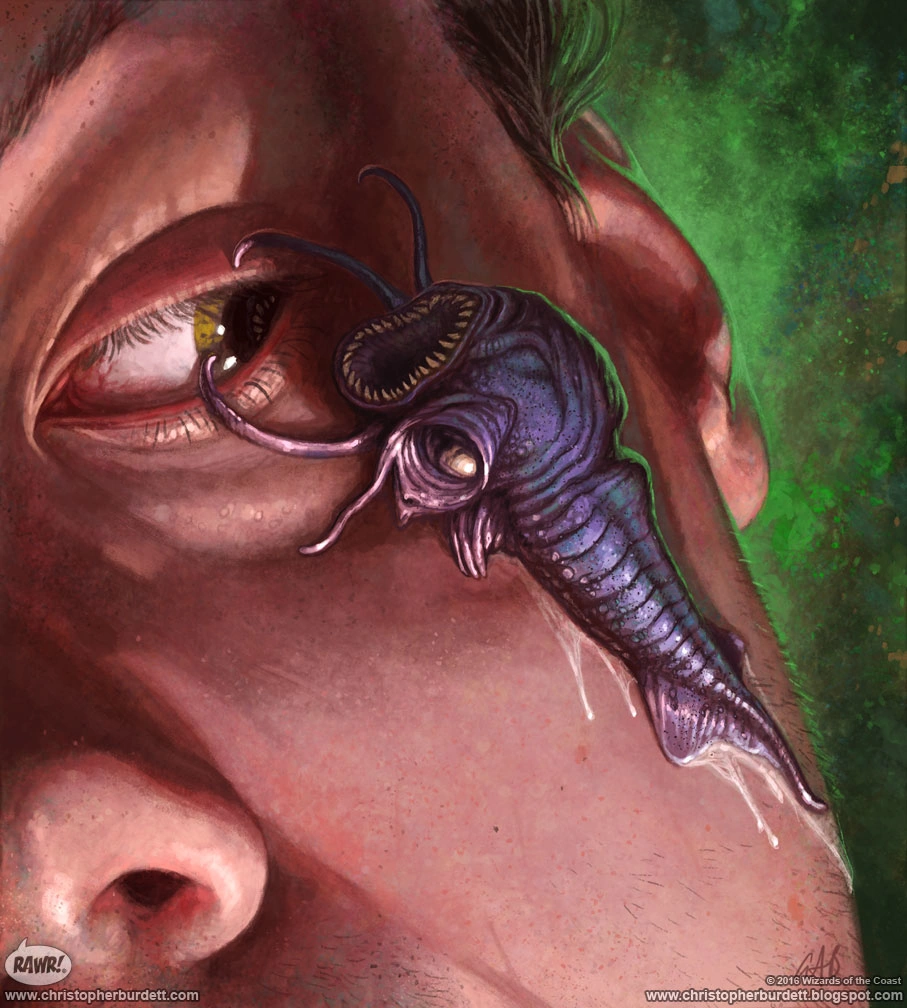Ceremorphosis Forgotten Realms Wiki FANDOM Powered By Wikia ceremorphosis-forgotten-realms-wiki-fandom-powered-by-wikia