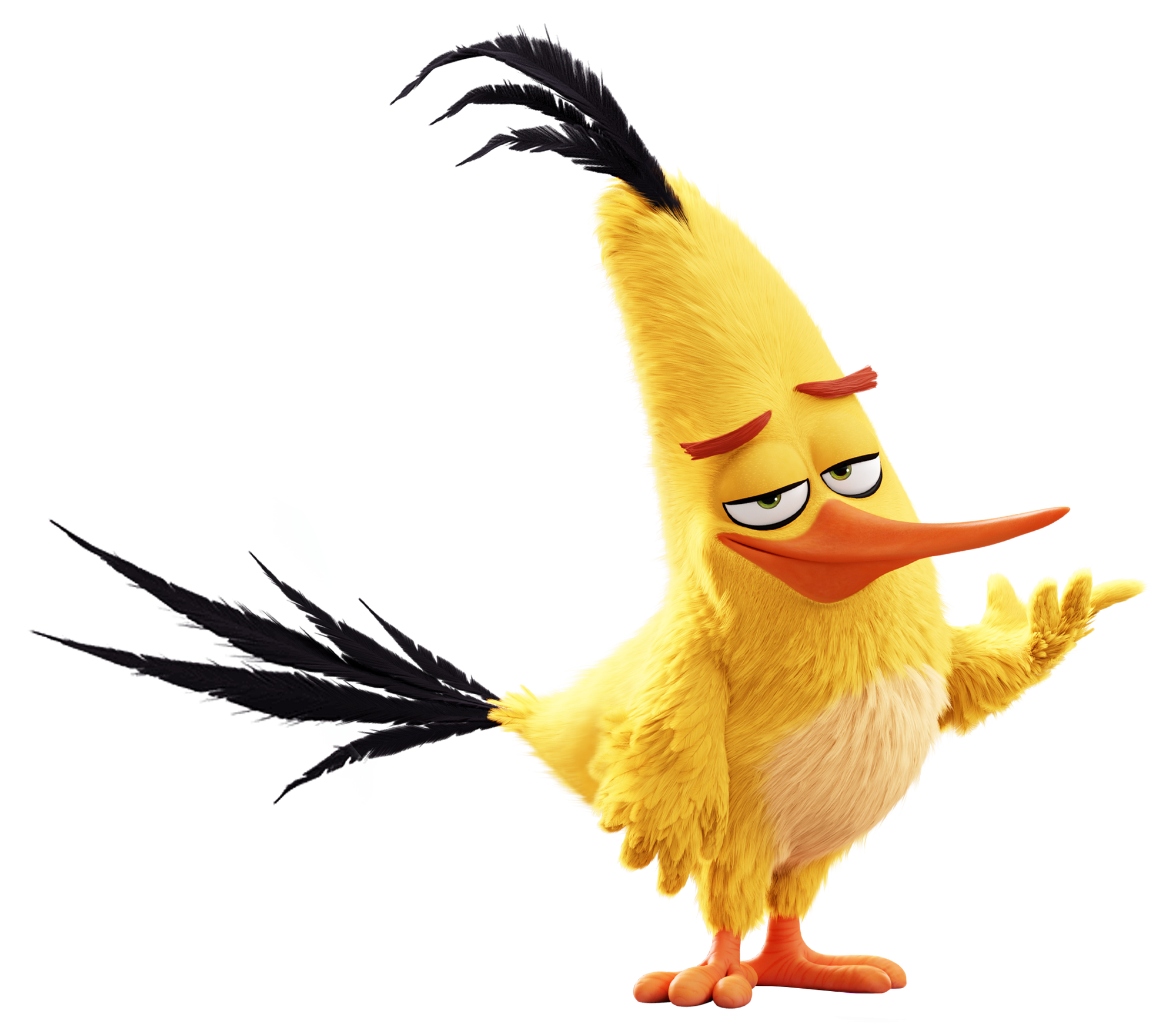 Chuck Angry Birds Jadens Adventures Wiki Fandom Powered By Wikia