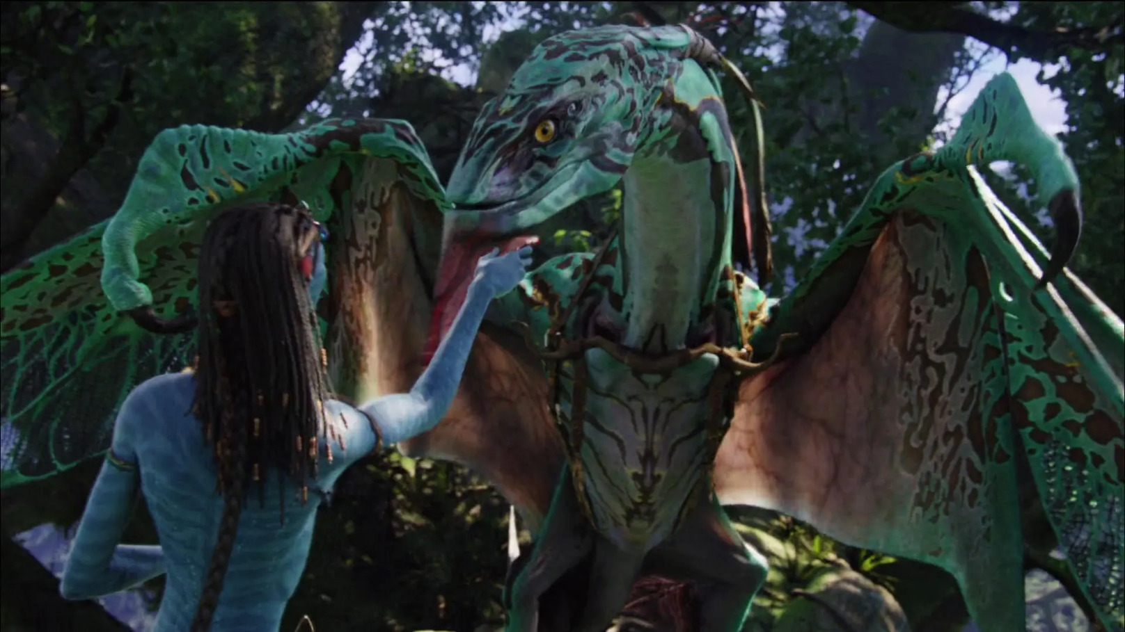 Plik:Ikran 5.jpg | Avatar Wiki | Fandom powered by Wikia Plik:Ikran 5.jpg | Avatar Wiki | Fandom powered by Wikia