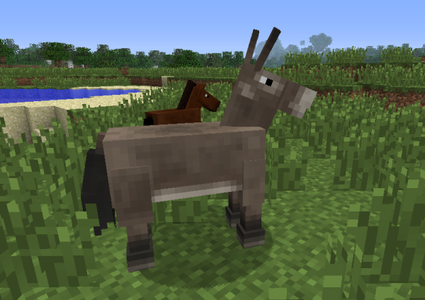 Mule | Minecraft Wiki | Fandom powered by Wikia Mule | Minecraft Wiki | Fandom powered by Wikia