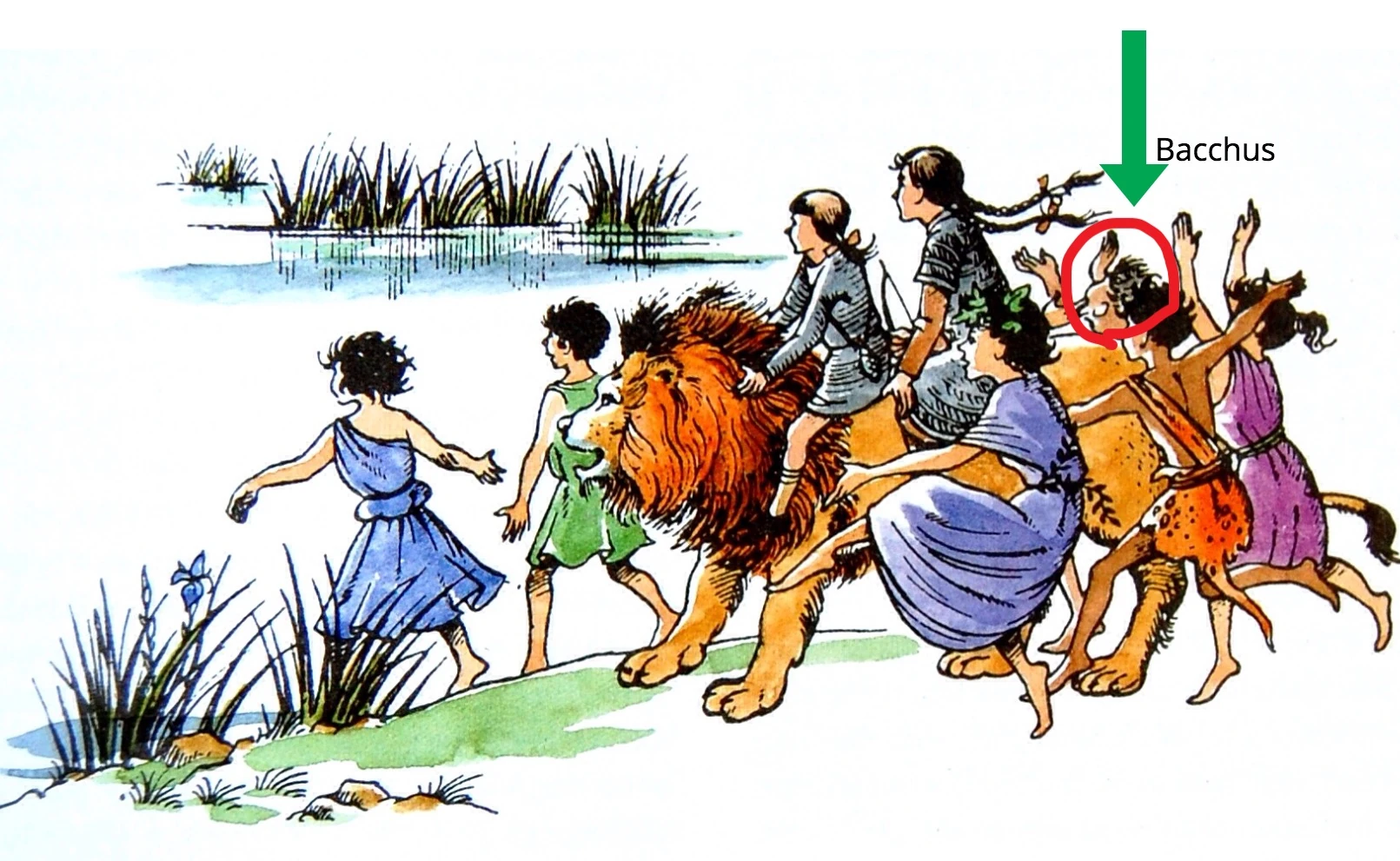Bacchus | The Chronicles of Narnia Wiki | Fandom powered by Wikia