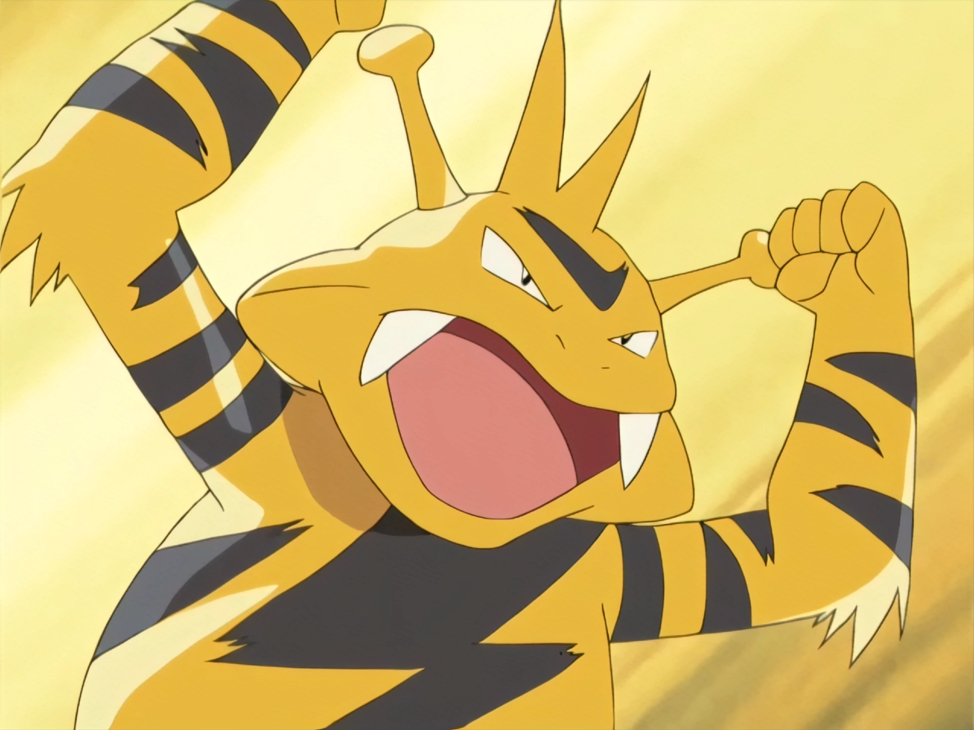 Macy's Electabuzz | Pokémon Wiki | Fandom powered by Wikia