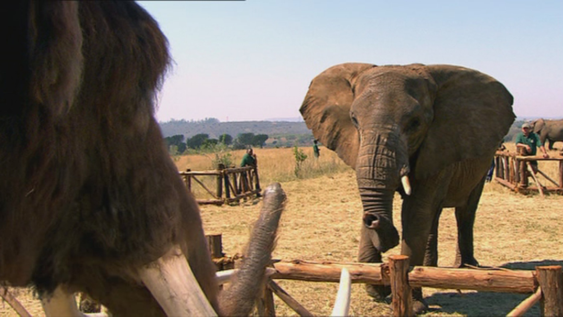 Image 1x2 Prehistoric Park Wiki Fandom Powered By Wikia