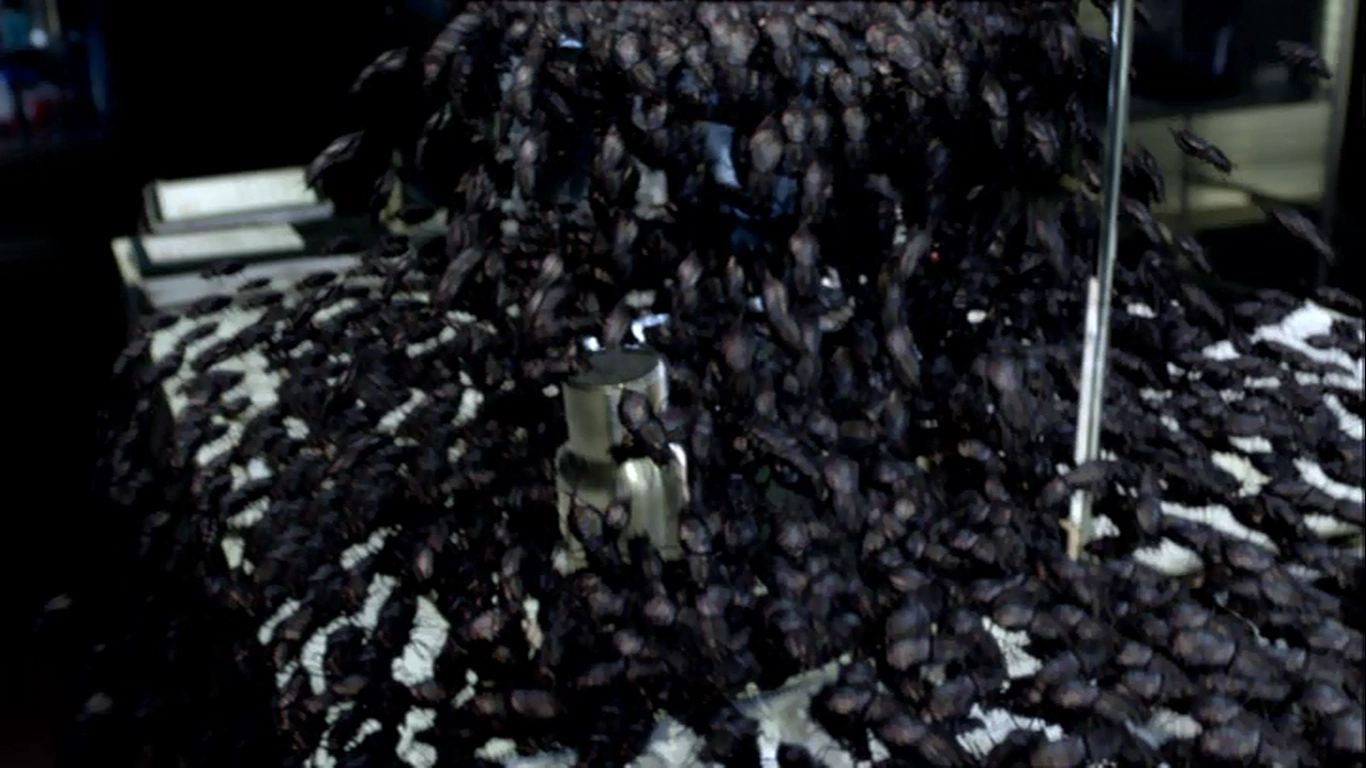 Primeval Future Beetle