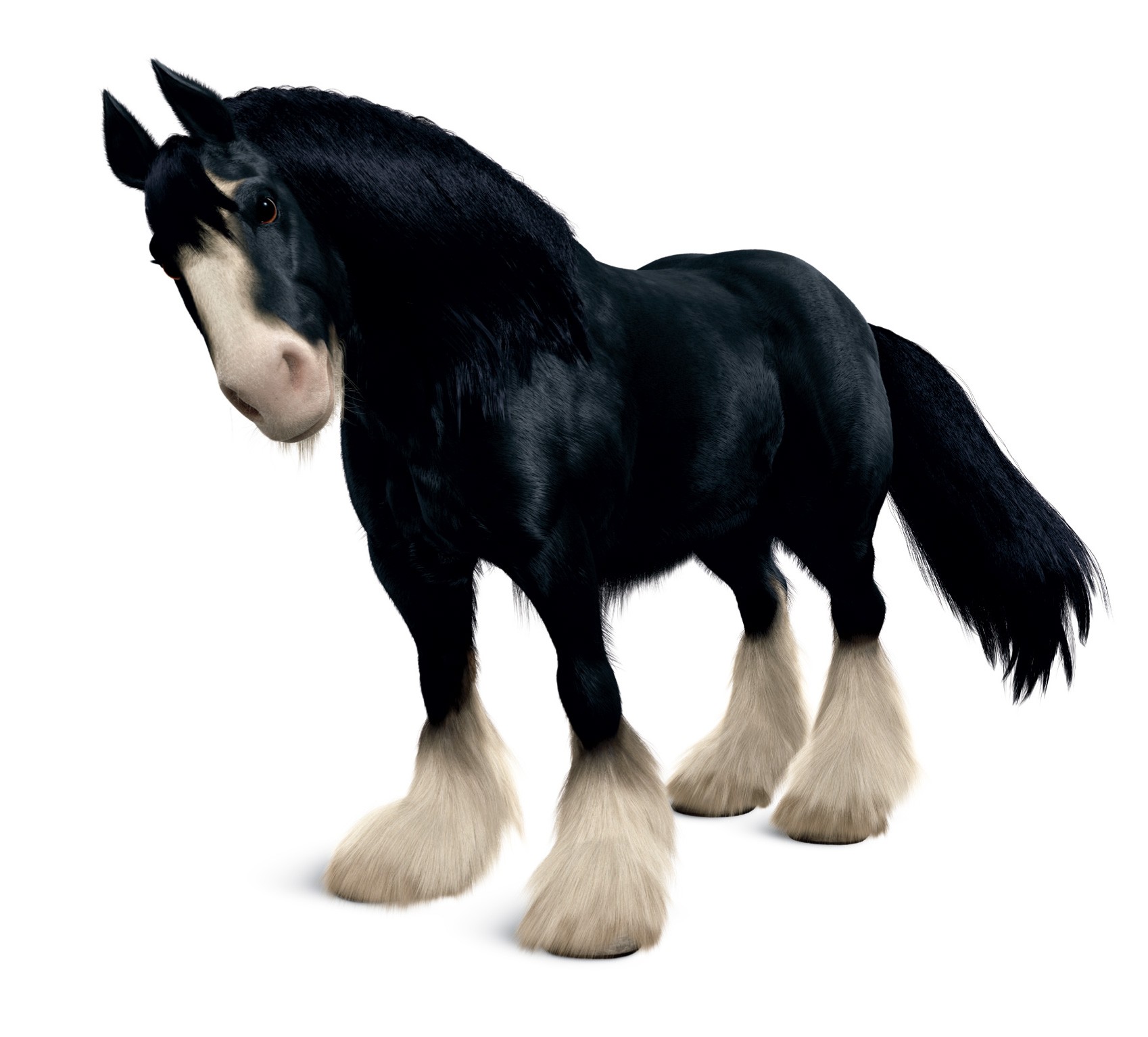 Angus | Rise of the Brave Tangled Dragons Wiki | FANDOM powered by Wikia Angus | Rise of the Brave Tangled Dragons Wiki | FANDOM powered by Wikia