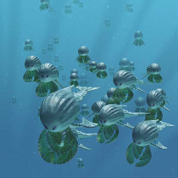 Silverswimmer Speculative Evolution Wiki Fandom Powered By Wikia