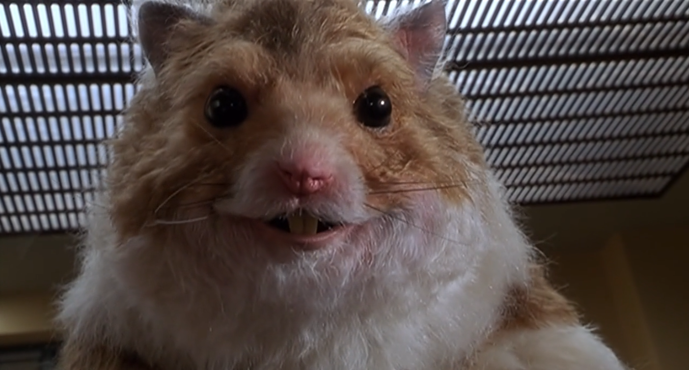 Image - Petey.png | The Nutty Professor Wiki | FANDOM powered by Wikia Image - Petey.png | The Nutty Professor Wiki | FANDOM powered by Wikia