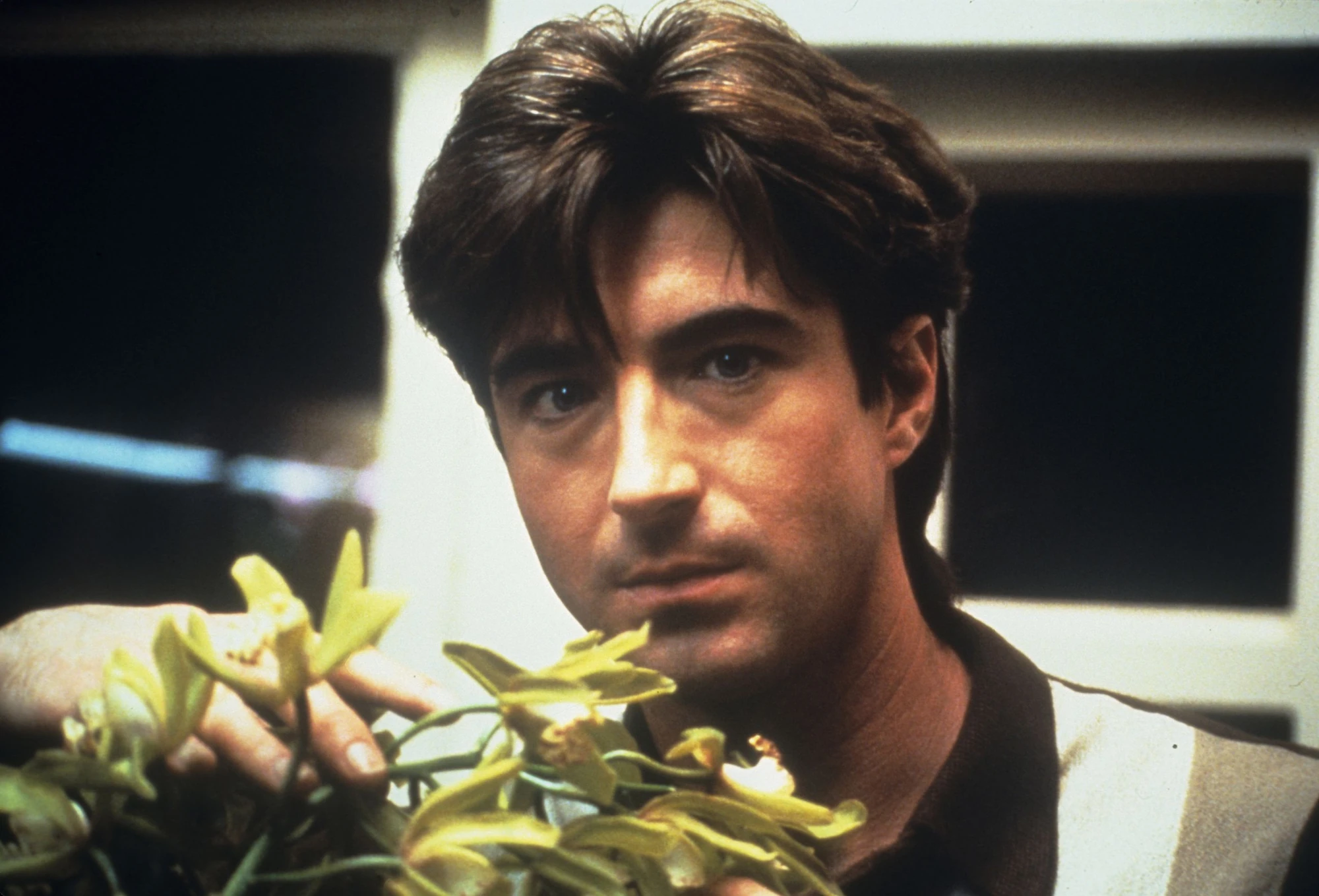 Harold Smith | Twin Peaks Wiki | FANDOM powered by Wikia