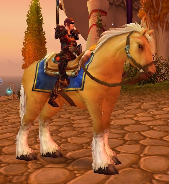 Palomino Bridle | WoWWiki | Fandom powered by Wikia Palomino Bridle | WoWWiki | Fandom powered by Wikia