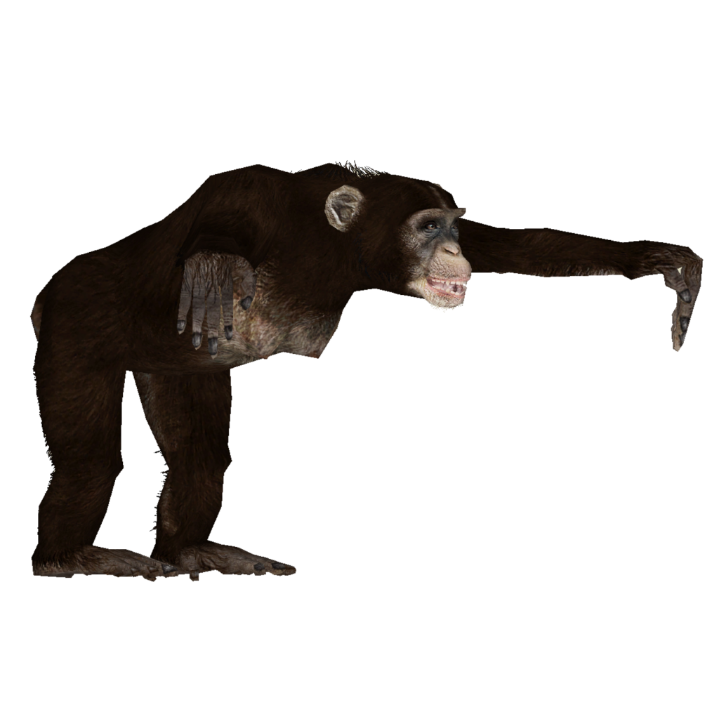 Category:Extinct Primates | ZT2 Download Library Wiki | FANDOM powered ... Category:Extinct Primates | ZT2 Download Library Wiki | FANDOM powered ...