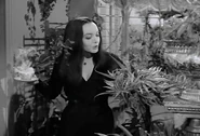 Cleopatra | Addams Family Wiki | FANDOM powered by Wikia