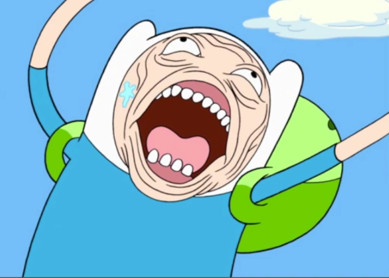 Datei:Finn.png | Adventure Time Wiki | Fandom powered by Wikia