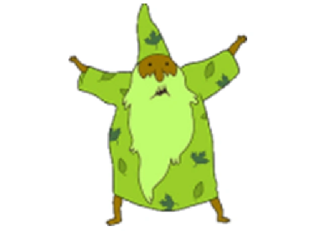 Forest Wizard | Adventure Time with Finn and Jake! Wiki | FANDOM ...