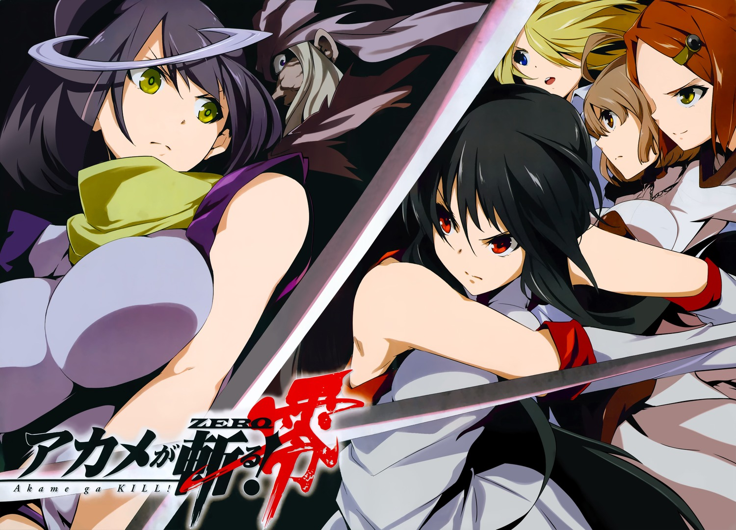 Tsukushiimage Gallery Akame Ga Kill Wiki Fandom Powered By Wikia