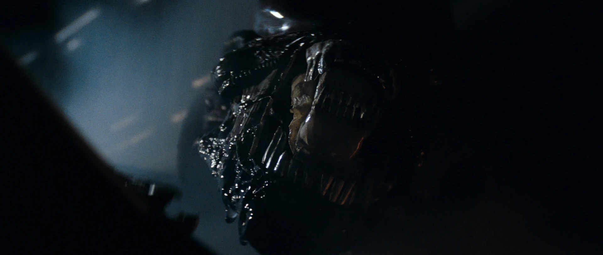 Image - Xenomorph Inner Jaws.jpg | Alien Anthology Wiki | FANDOM ...