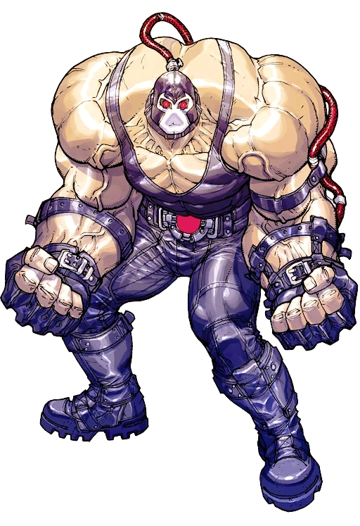 Image - Bane Portrait Arkham Asylum.png | Arkham Wiki | FANDOM powered ...