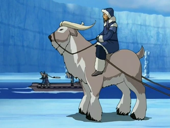 Buffalo yak | Avatar Wiki | Fandom powered by Wikia
