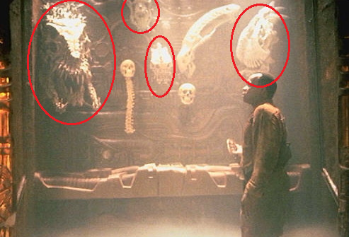User blog:D1981/Alien skull in Predator 2 | Xenopedia | Fandom powered ...