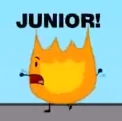Firey Jr. | Battle for Dream Island Wiki | FANDOM powered by Wikia