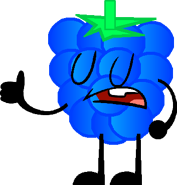Blue Raspberry | Object Shows Community | Fandom powered by Wikia