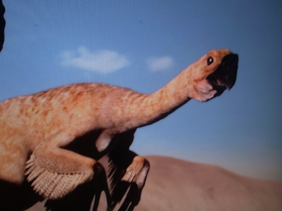 Oviraptor | BBC Planet Dinosaur Wiki | FANDOM powered by Wikia