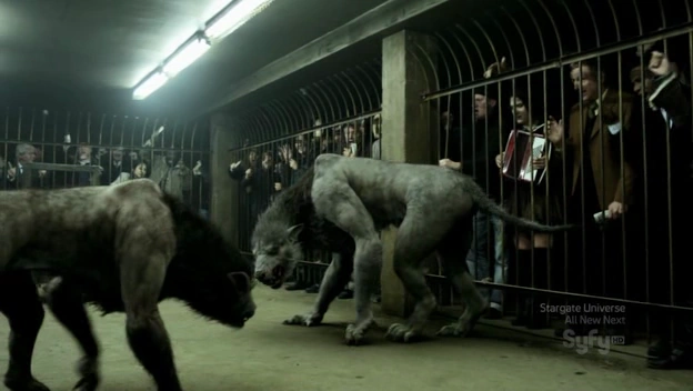 Werewolf Fights (Syfy) | Being Human Wiki | FANDOM powered by Wikia
