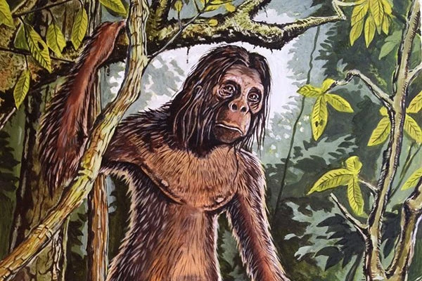 El Sisimite | Wiki Bestial | Fandom powered by Wikia