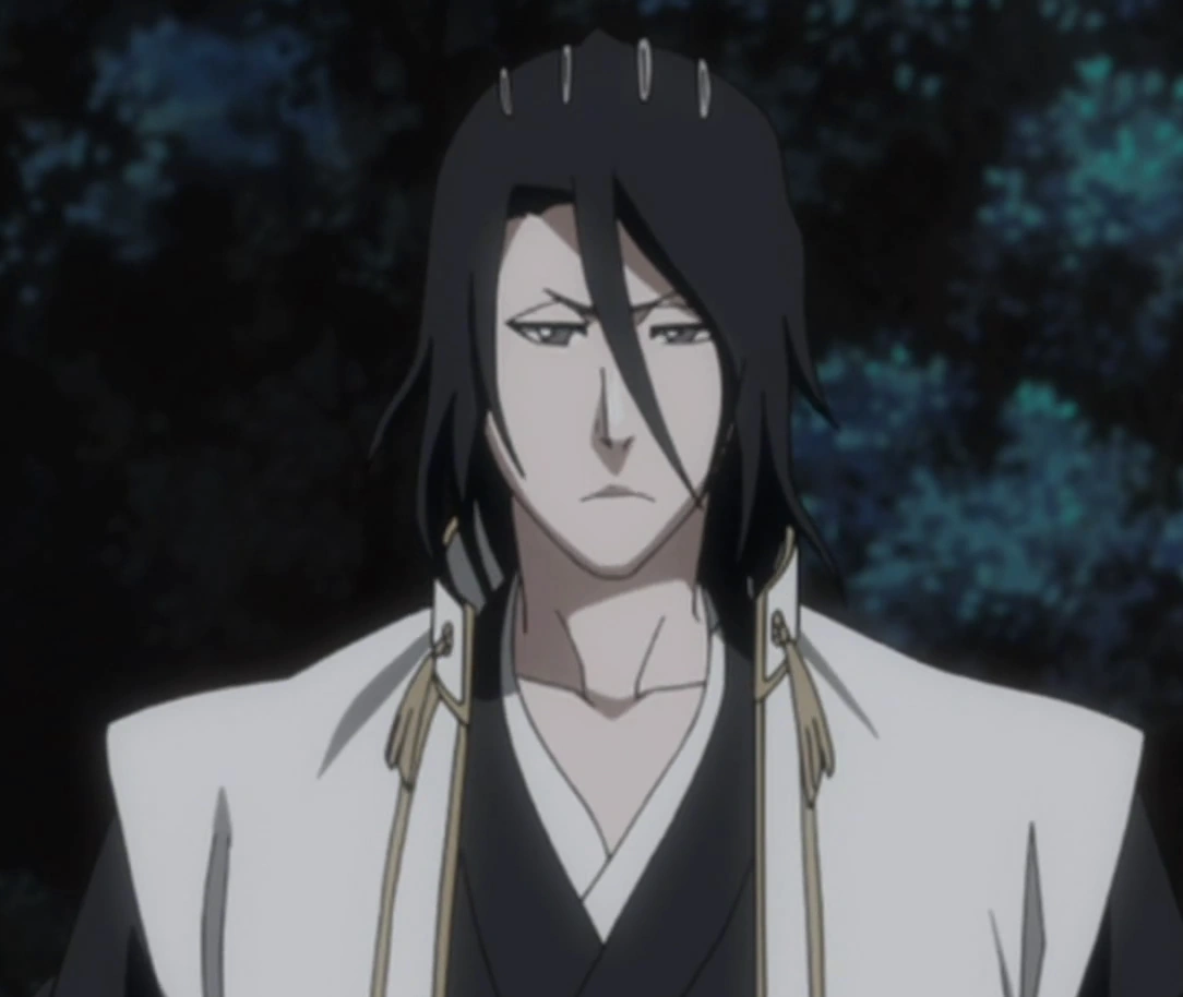 Byakuya Kuchiki | Bleach Wiki | Fandom powered by Wikia