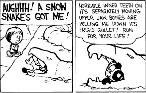 Image - Snowman- Snow Snake.png | The Calvin and Hobbes Wiki | Fandom ...