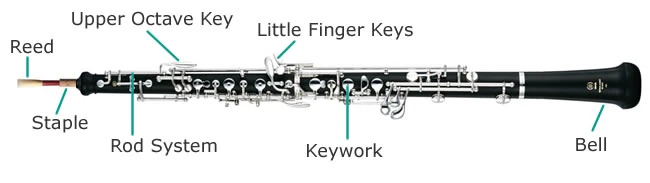 Image - Oboe-diagram.jpg | Choir and Music Wiki | Fandom powered by Wikia
