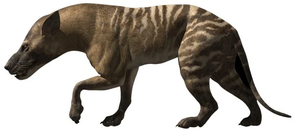 Hyaenodon | Cool Dino Facts Wiki | Fandom powered by Wikia