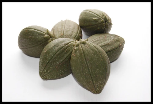 Tacaco | Costa Rica Wiki | Fandom powered by Wikia