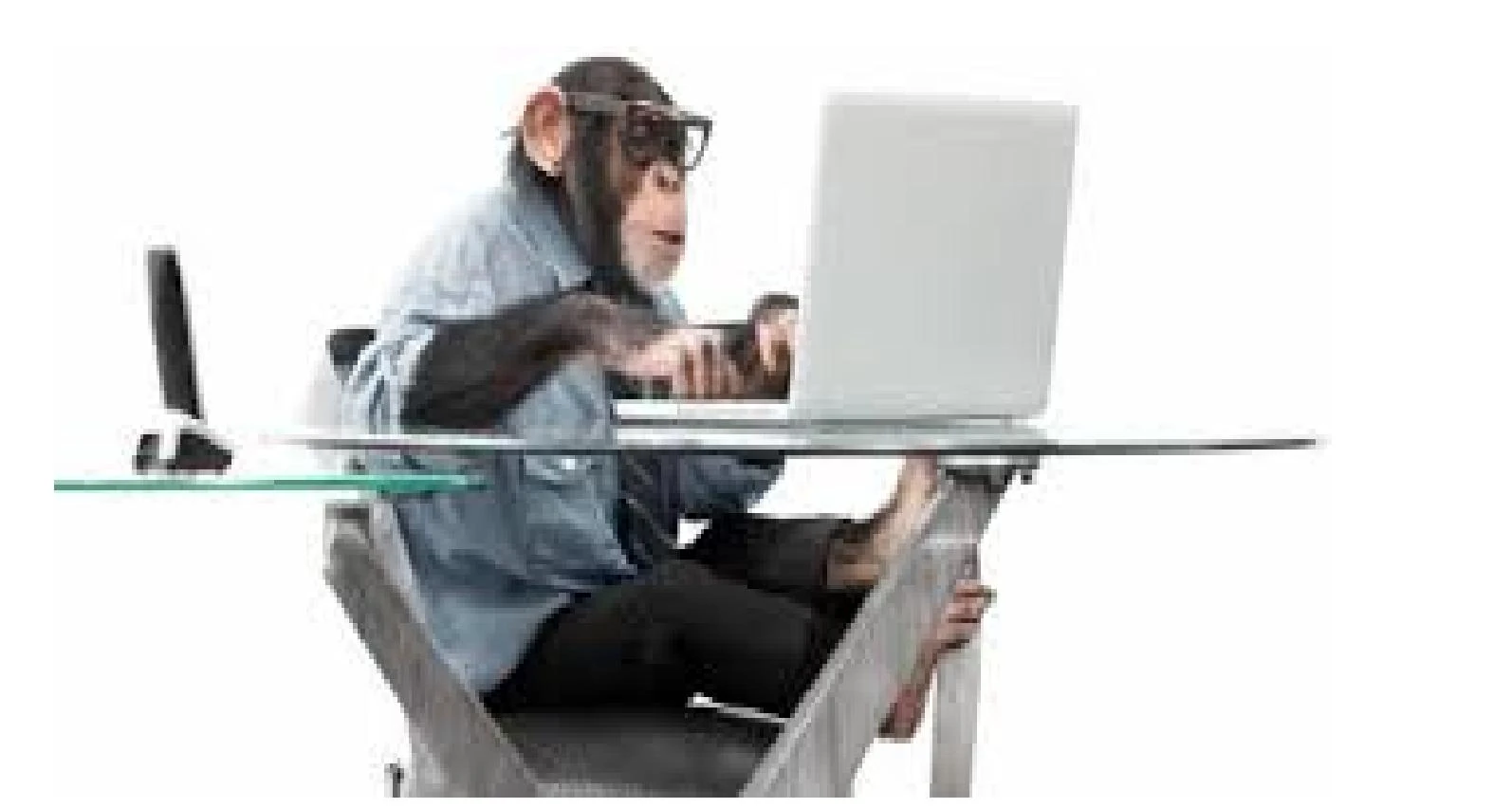 Image - Computer monkey 2.jpg | Cryptid Wiki | Fandom powered by Wikia