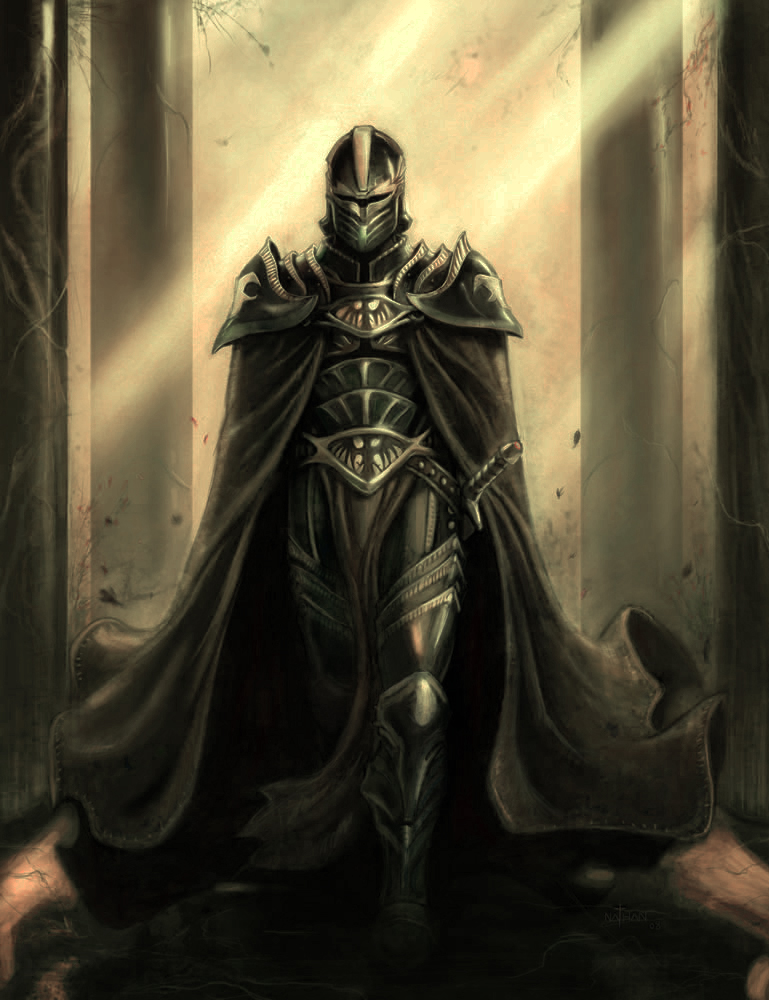 Image 193512 Paladin Dark Souls Wiki Fandom Powered By Wikia