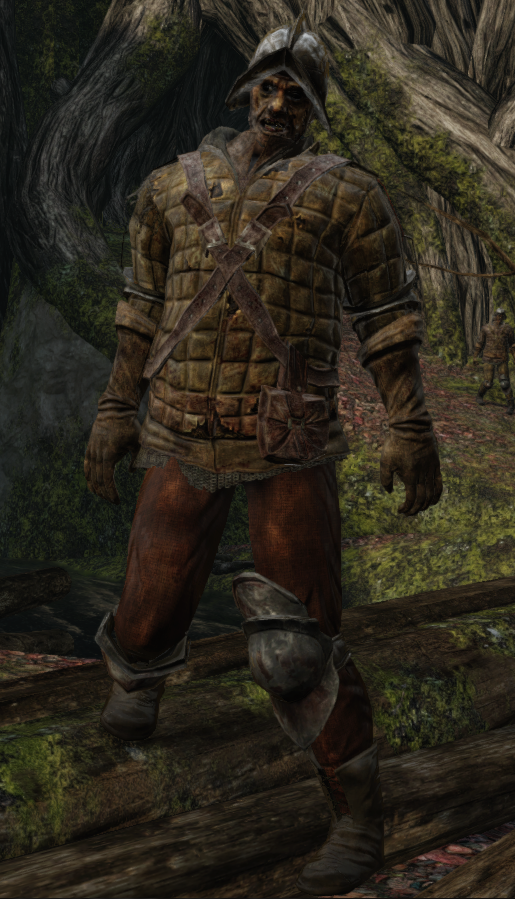 Hollow Infantry Dark Souls Wiki Fandom Powered By Wikia