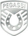 Datei:Pegassi-Logo.PNG | GTA Wiki | Fandom powered by Wikia