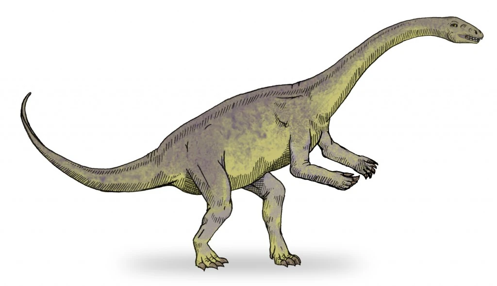 Chebsaurus | Dinosaur Wiki | Fandom powered by Wikia