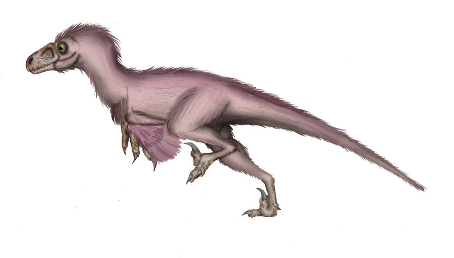Image - Atrociraptor-maniraptora.jpg | Dinopedia | FANDOM powered by Wikia