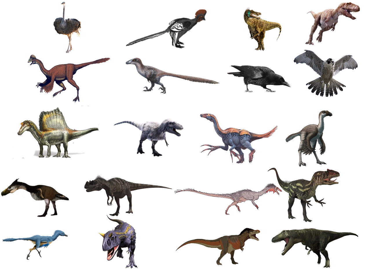 Theropoda | Dinopedia | FANDOM powered by Wikia