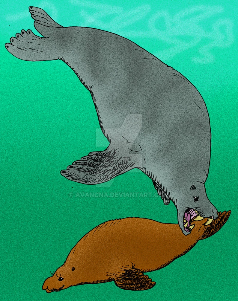 Pelagiarctos | Dinopedia | FANDOM powered by Wikia