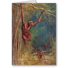 Pliopithecus | Dinopedia | Fandom powered by Wikia