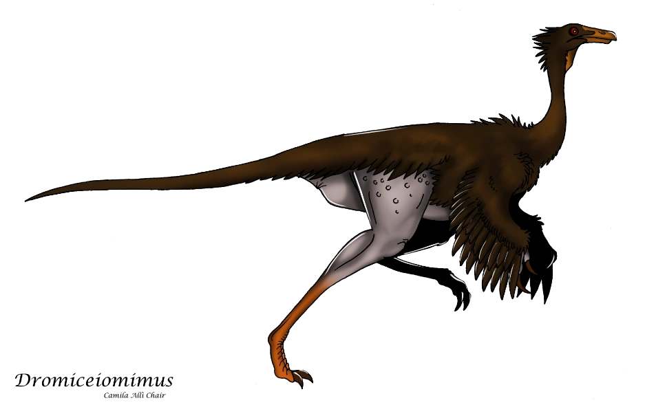 Dromiceiomimus | Dinopedia | Fandom powered by Wikia