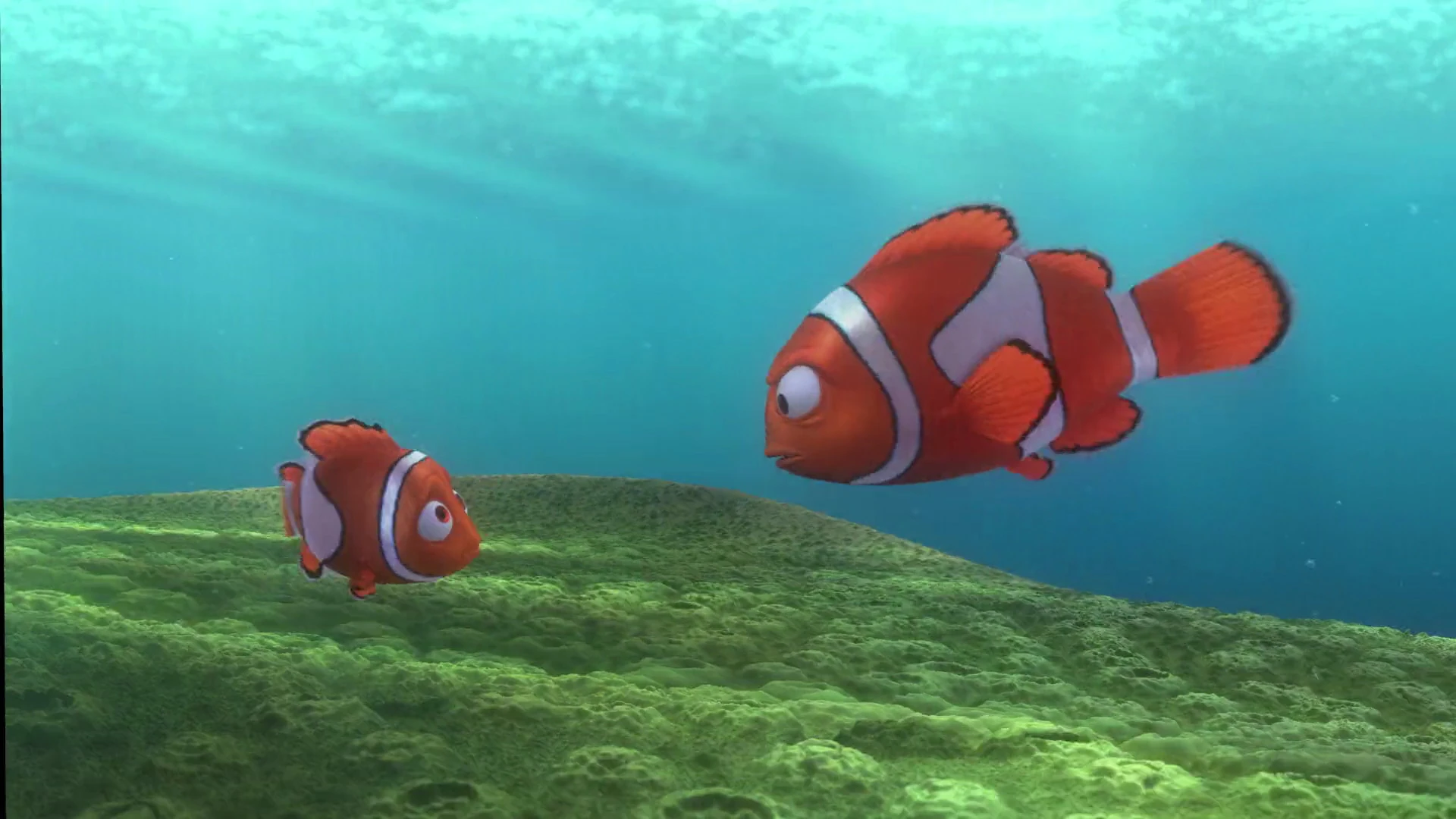 Image - Finding-nemo-disneyscreencaps.com-1365.jpg | Disney Wiki ...