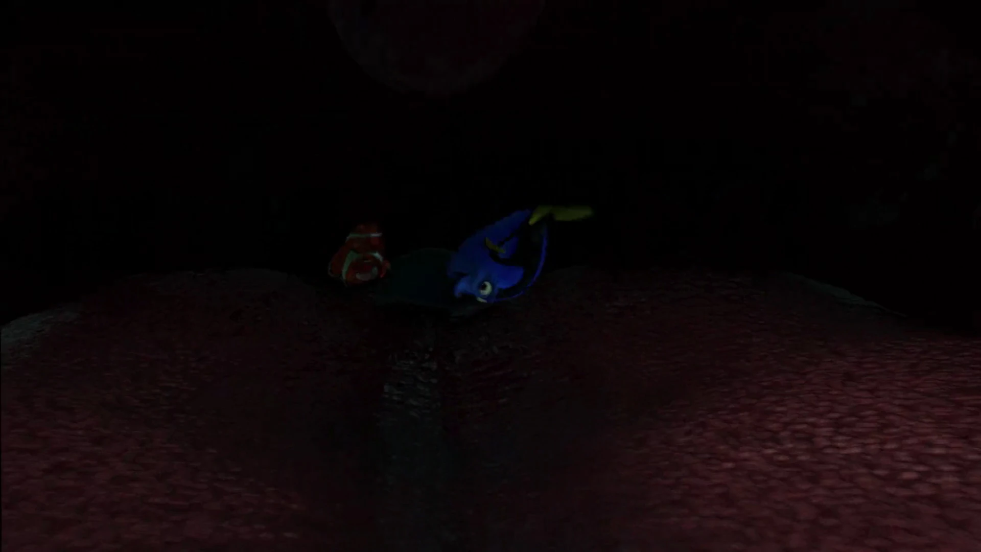 Image - Finding-nemo-disneyscreencaps.com-8578.jpg | Disney Wiki ...