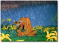 Springtime for Pluto | Disney Wiki | Fandom powered by Wikia