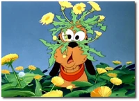 Springtime for Pluto | Disney Wiki | Fandom powered by Wikia